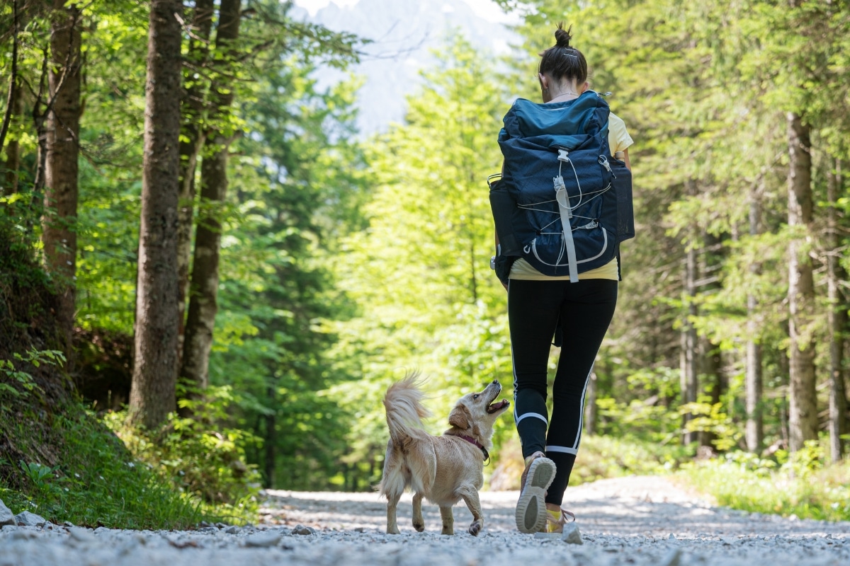 Walking Your Way to Wellness - Central Wellness